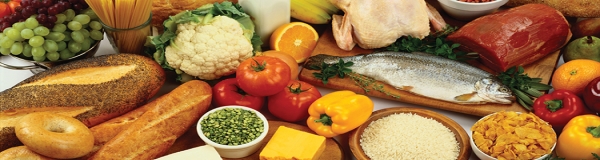 Food Safety Management Systems – International Certification Bureau